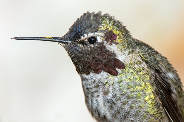 Michael Fuchs Photography – Page 2 – Nature, Wildlife, and Landscape ...